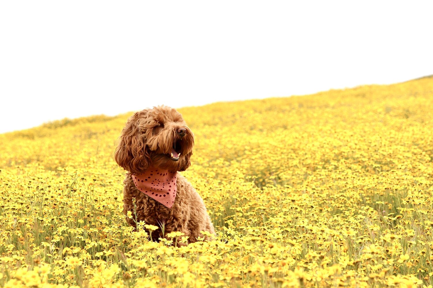 Sending Instagram Reels Is My Love Language